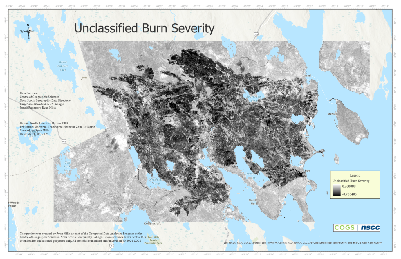 Sentinel-2 Burn Severity Analysis